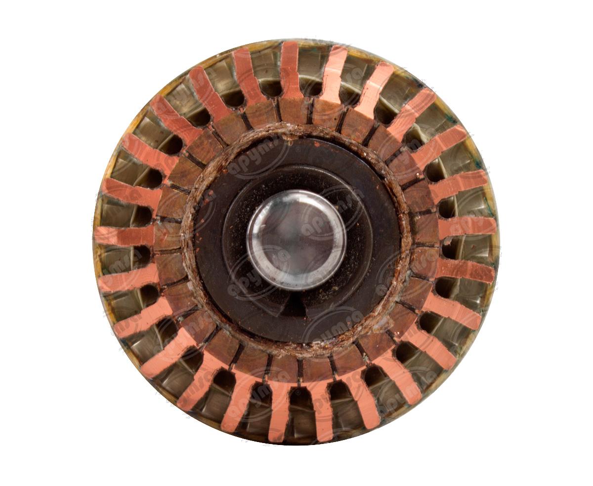 APYMSA | Líder en refacciones auto eléctricas y fuel injection