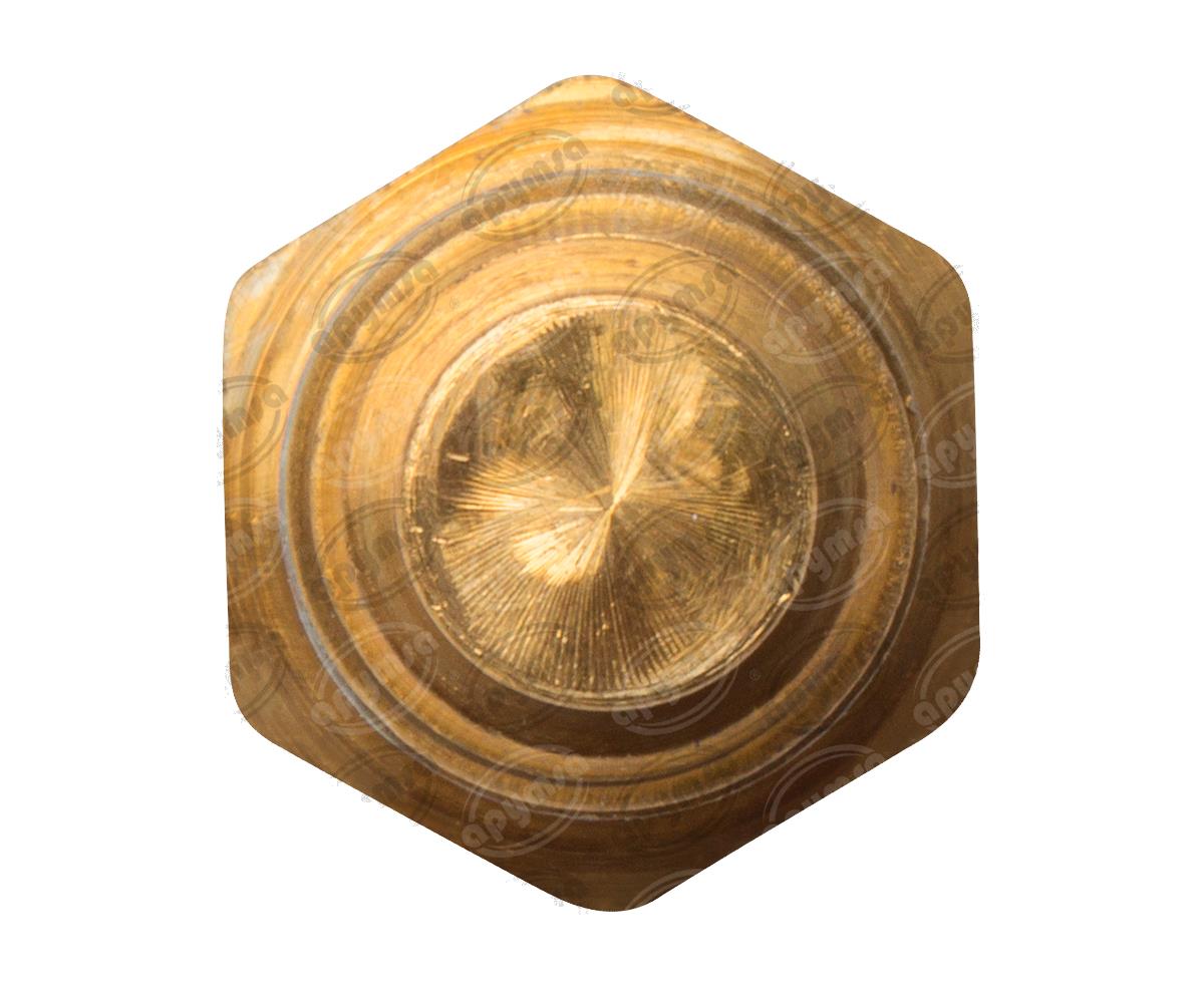 BULBO TEMPERATURA DE FOCO N/O 100 ºC CHVROLET CAVALIER S10 DYNAMIC TS 169