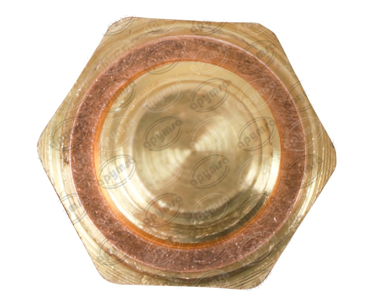 SENSOR TEMPERATURA REFRIGERANTE CHEVROLET TRAILBLAZER V6 4.2L 02 05 TX 108