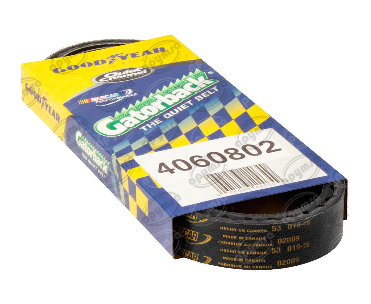 BANDA ARP POLY V CHEVROLET CORVETTE DODGE CALIBER FORD JEEP COMPASS ...